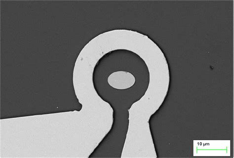 sem image of mtj integrated into 20 µm loop microresonator download