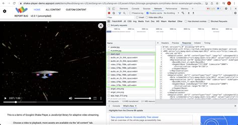 url redirect for video player · issue 330 · flutter tizen flutter