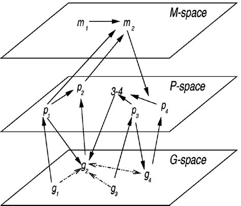 This Representation Of Cellular Biological Interactions Gives A General Download Scientific