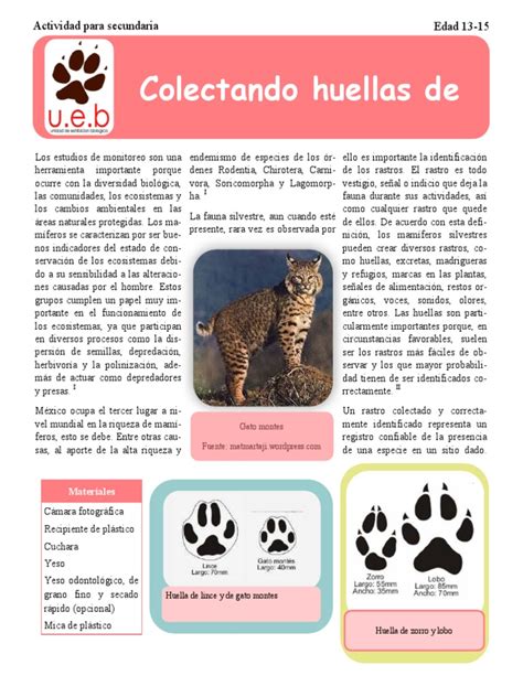 Guía De Huellas De Mamíferos En México Pdf Fauna Naturaleza