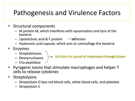 Ppt Streptococci Characteristics Classification And Pathogenesis Powerpoint Presentation