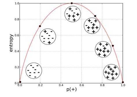 decision trees entropy and logistic regression loss advanced learning algorithms deeplearning ai