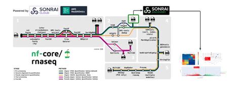 Rnaseq Bioinformatics Nextflow Nfcore Biomarkerdiscovery Aws Sonrai