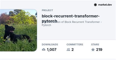 Block Recurrent Transformer Pytorch Ecosystem Directory Market Dev