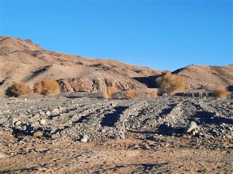 АМЬ ТЭМЦЭН УРСАХ ГОЛ МӨРӨН МИНЬ АВРАЛ ЭРСЭЭР МБОИЗ