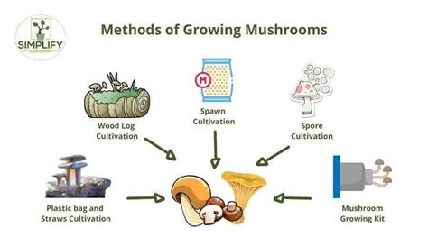 5 Methods Of Growing Mushrooms Simplify Gardening