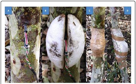 Installation Of A Tdp Sensor A Tdp Sensor Installed B Probes