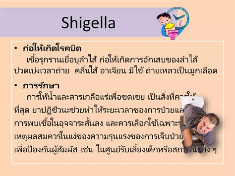 Bacteria Gram Negative Bacilli Oxidase Ppt