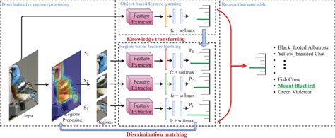 Figure 2 From Filtration And Distillation Enhancing Region Attention For Fine Grained Visual