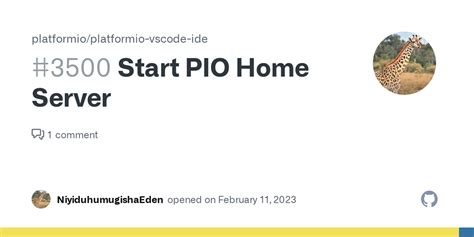 Start PIO Home Server Issue Platformio Platformio Vscode Ide GitHub