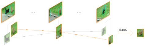 mmtracking configs vid selsa readme md at master · open mmlab mmtracking · github