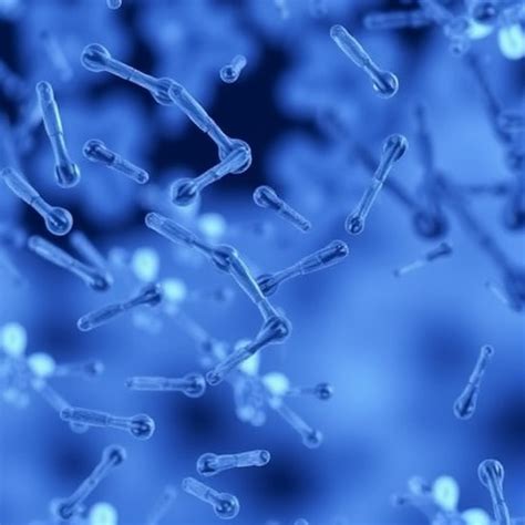 Exploring Antibiotic Resistance In Malaysian Helicobacter Pylori