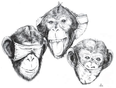 Three Wise Monkeys Drawings