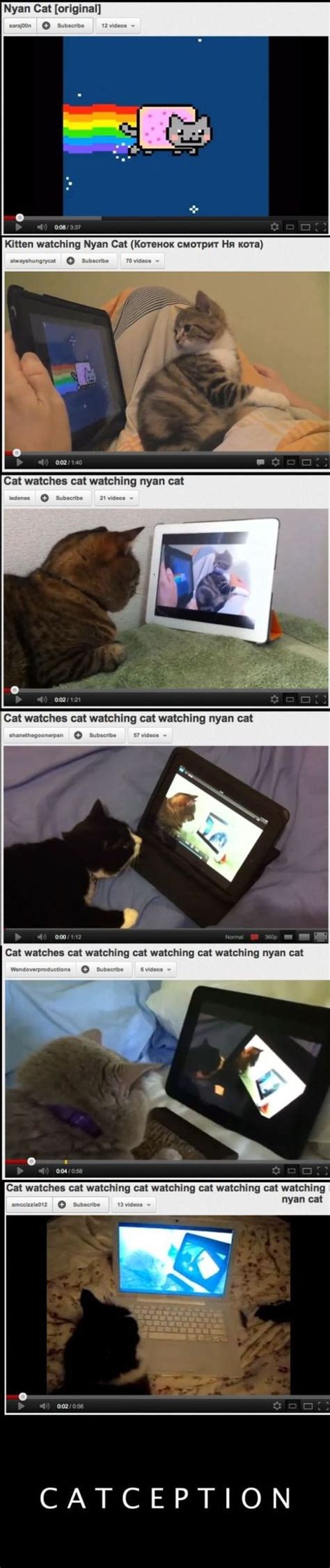 Nyan Cat Album On Imgur