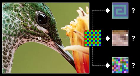 Dxo Pureraw 4 Better Demosaicing For More Detail Dxo