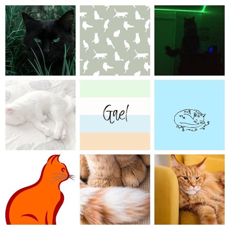 Unlabeled Pride Flag Aesthetic Color Meanings Aesthetic 60 Off