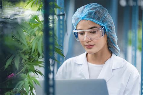 Making Field Data Collection Easier With Software Field Eagle Making Field Data Collection Easier With Software Field Eagle