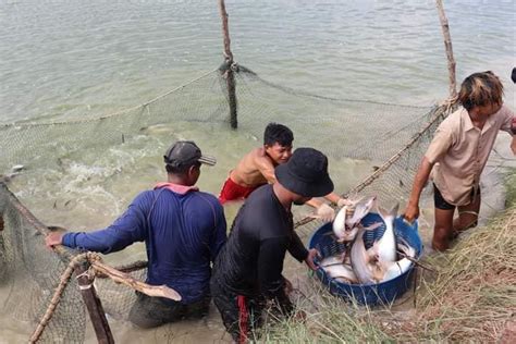 កម្ពុជា បាននាំចេញផលិតផលជលផលជិត ៤០តោន ទៅចិន នៅដើមឆ្នាំ២០២៤