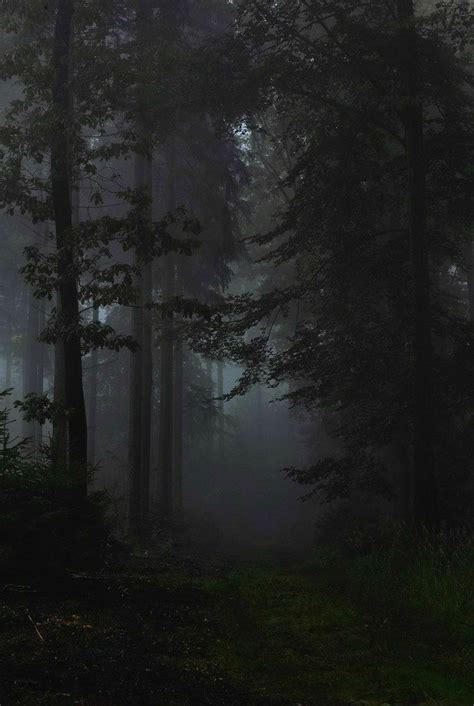 Pin By Emilys 𖤣𖥧 Aesthetics On Nature Dark Forest Aesthetic Dark