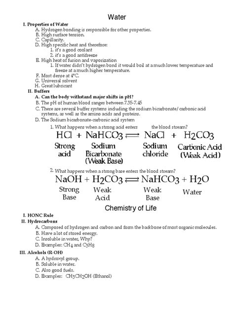 Biochemistry Notespdf Operon Carbohydrates