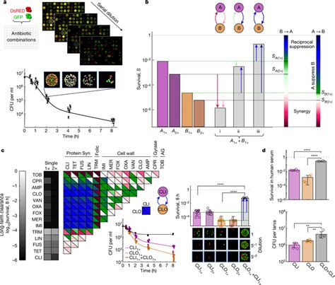 Systematic Quantification Of Pairwise Drug Interactions Reveals Download Scientific Diagram