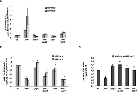 Implication Of Ccr4 Not Complex Function In Mrna Quality Control In