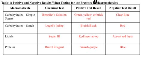 Unit 3 Biochemistry