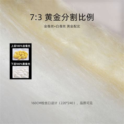 水星家纺全棉100金桑蚕丝冬被子母被二合一被单双人纯棉保暖被芯虎窝淘