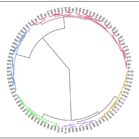 An Agglomerative Hierarchical Clustering Dendrogram Of The 120 Sampling Download Scientific
