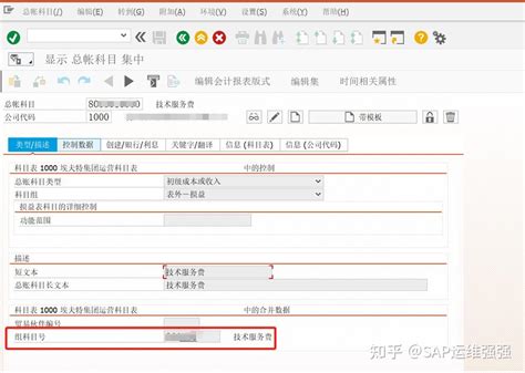 Sap运维 014 Fi 帐户 Xxx 表 1000 不能映射到合并表 99 知乎
