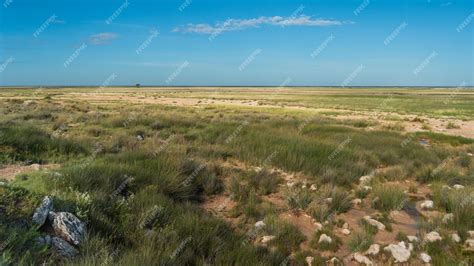 Premium Photo Migratory Lush Green Grasslands Of Etosha National Park