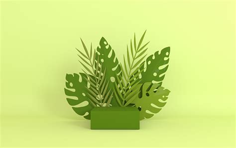 열대 종이 손바닥 몬스타 잎 프레임 제품 프리젠 테이션을위한 연단 플랫폼 여름 열대 잎입니다 종이 접기 이국적인 하와이 정글 여름 배경입니다 용지 잘라내기 3d 렌더링 입체