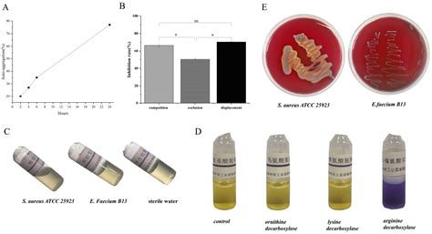 Assessment Of The Safety And Probiotic Properties Of Enterococcus Faecium B13 Isolated From