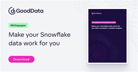 Snowflake And Gooddata Partnership What You Need To Know Gooddata