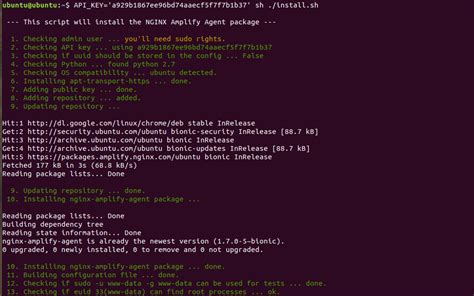 How To Monitor Nginx Servers With Nginx Amplify Linuxfordevices