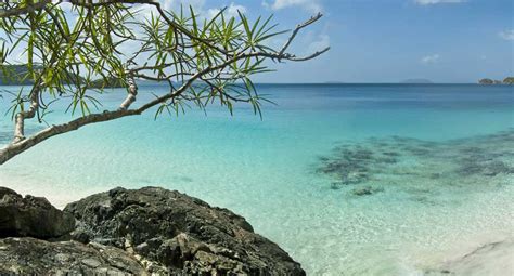 10 Best Snorkeling Spots In St John St John Vacation Rentals