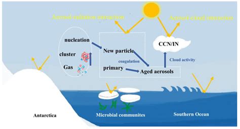 Atmospheric Particle Number Concentrations And New Particle Formation