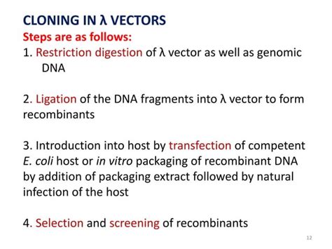 Lectut Btn 202 Ppt L4 Bacteriophage Lambda And M13 Vectors 1 Pptx