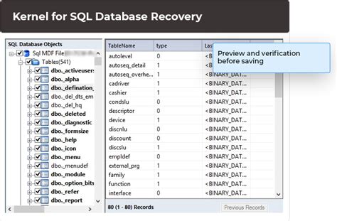 Sql Server Recovery Tool For Corrupt Sql Database Files