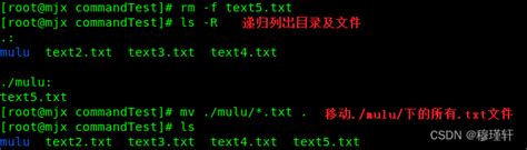 计算机基础知识——linux命令简介linux Sync Shell Command 包括文件系统吗 Csdn博客
