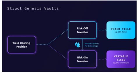 How Struct Finance Works