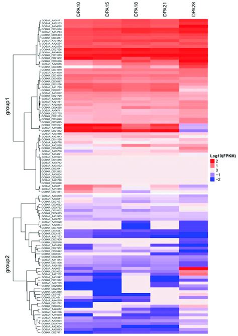 Rna Sequence Data Analysis Of 108 Genes With Differential Expression Of