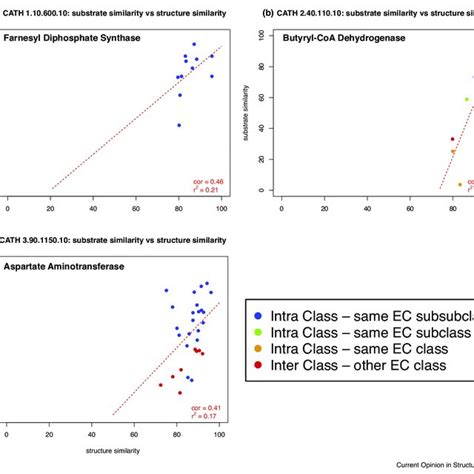 Pdf Understanding Enzyme Function Evolution From A Computational Perspective