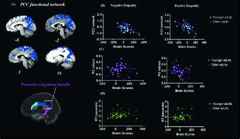 Results From The Structure Function Behavior Analysis Of The Posterior Download Scientific