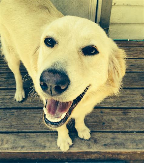 Daisy Lou By Plebiian On Deviantart