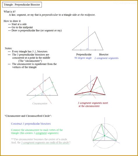 Worksheet Altitude Median Angle Bisector Perpendicular Bisector Answers