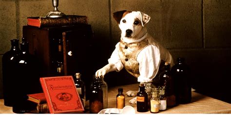 Wishbone Movie In The Works Based On Beloved 90s Tv Show