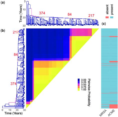 Application To Methicillin Resistant Staphylococcus Aureus Data Set A