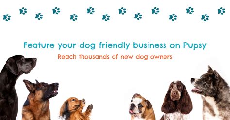 Feature your dog friendly business on Pupsy!