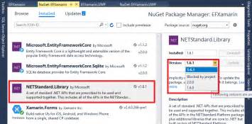 Visual Studio Version Number In Nuget Manager Differs From One From